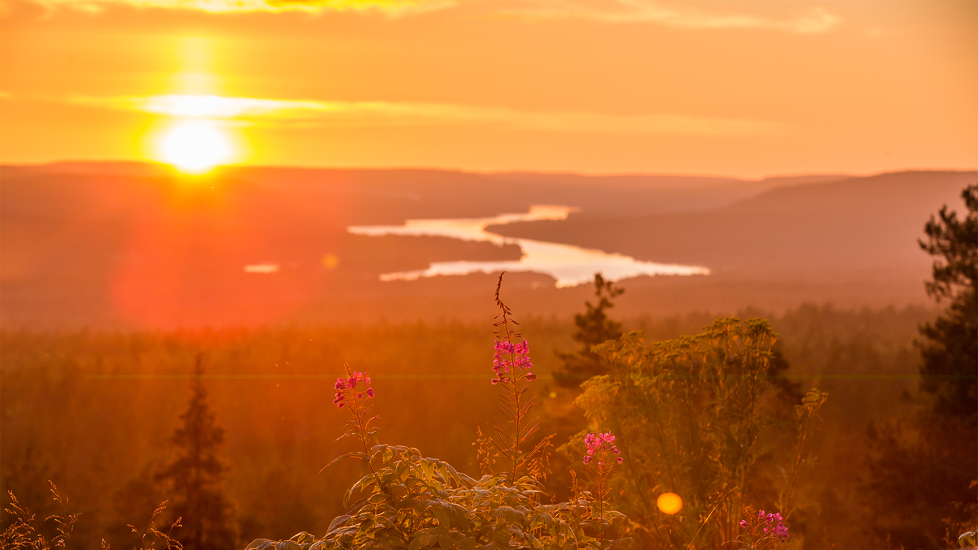 Experience a Magical Summer in Lapland | Visit Finnish Lapland