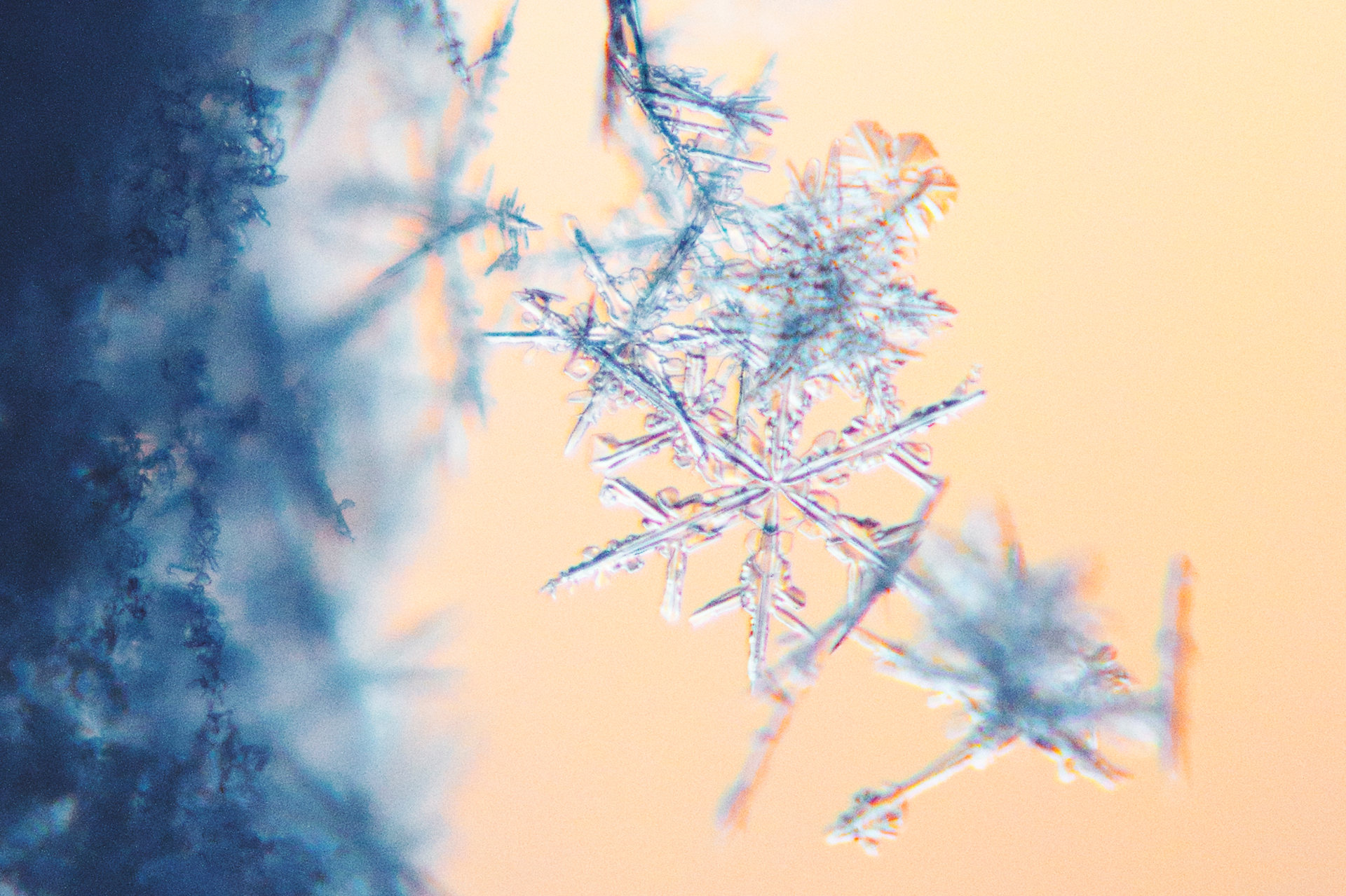 7 Ways to Have Fun With the Snow | Only in Lapland