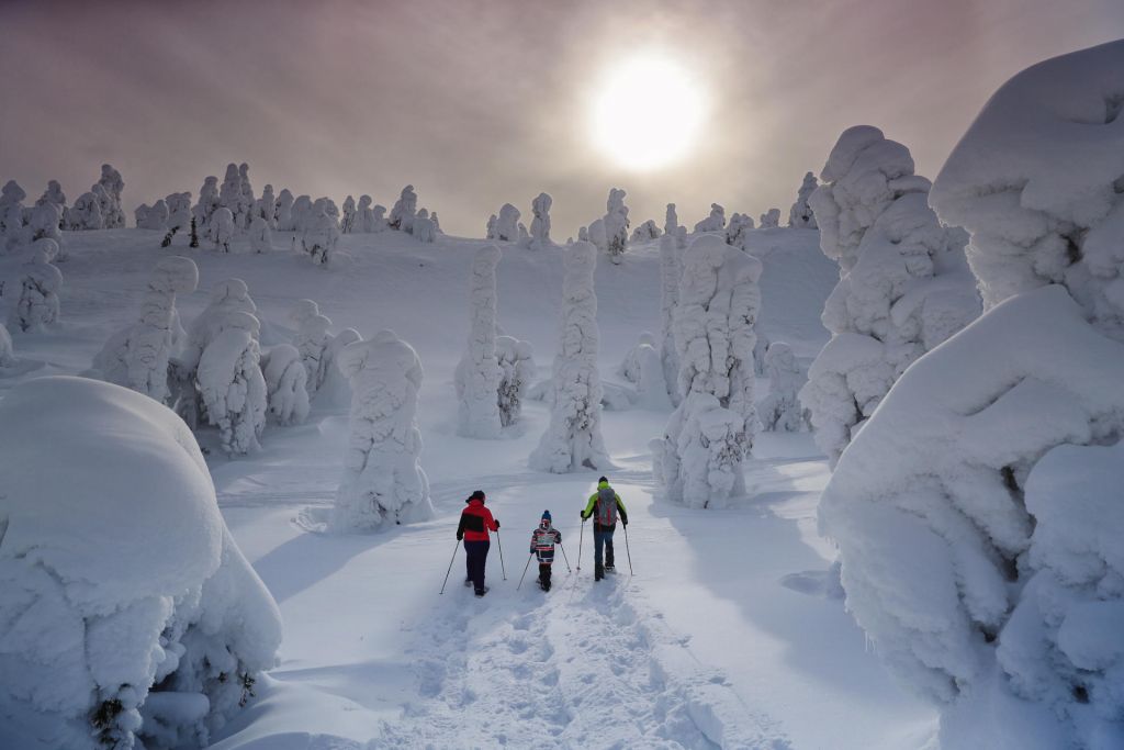 Lapland in Winter - Most Wonderful Season | Visit Finnish Lapland