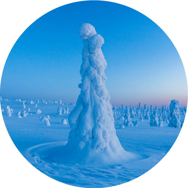 Ailo's Journey | Visit Finnish Lapland