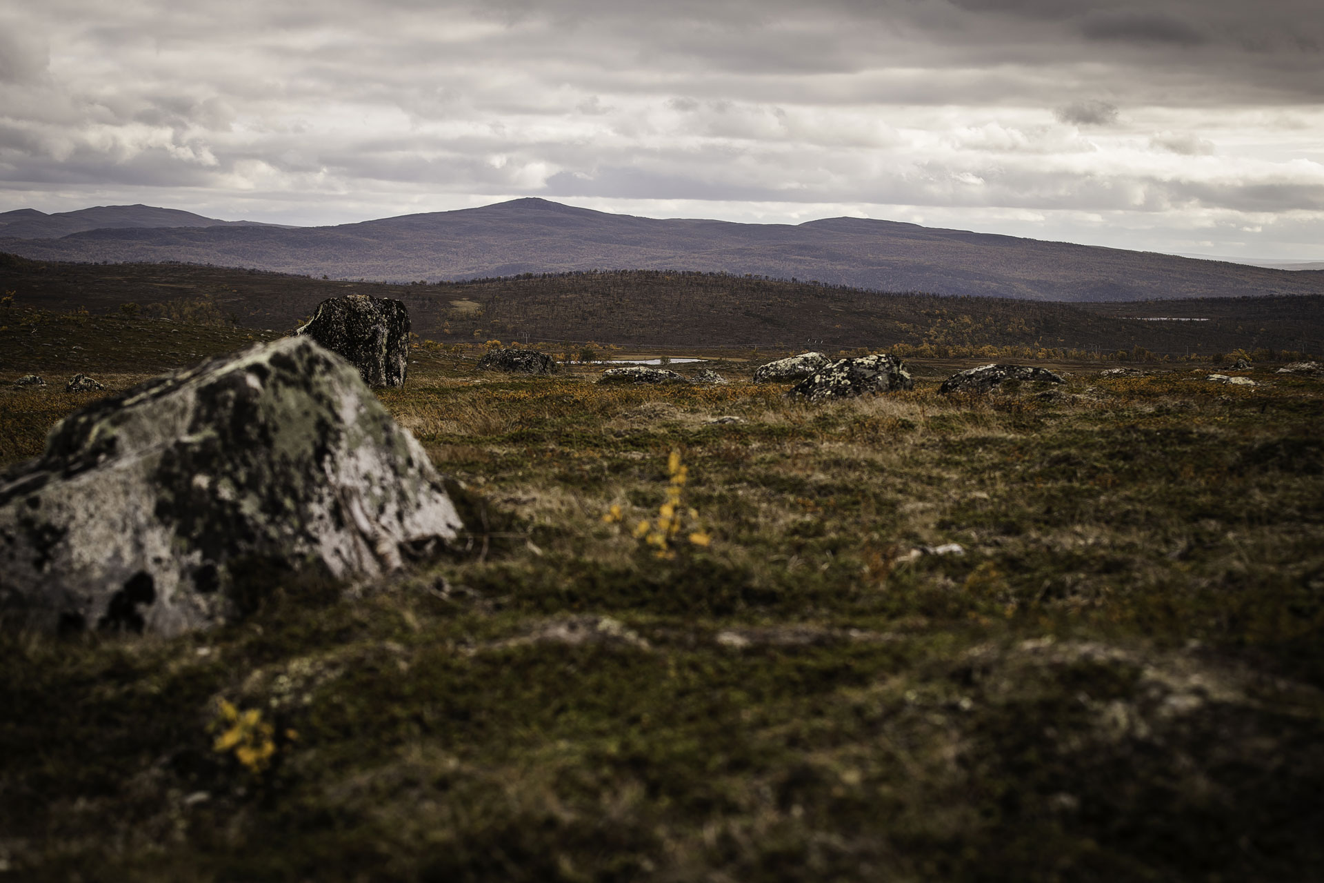 Film Location: Arctic Fells & Fellfields of Utsjoki | Film Lapland