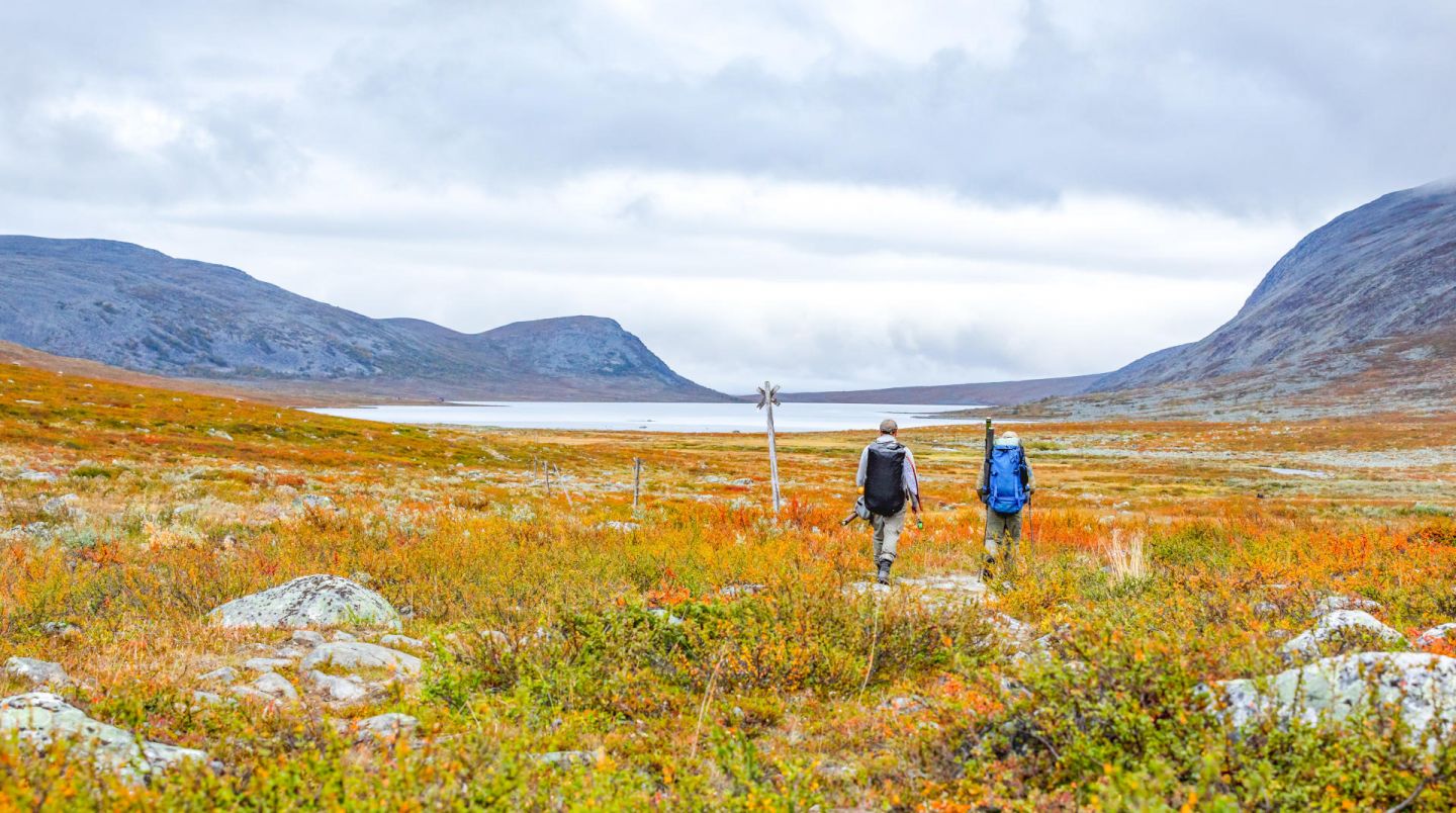 Lapland - Europe's Last Wilderness | Visit Finnish Lapland