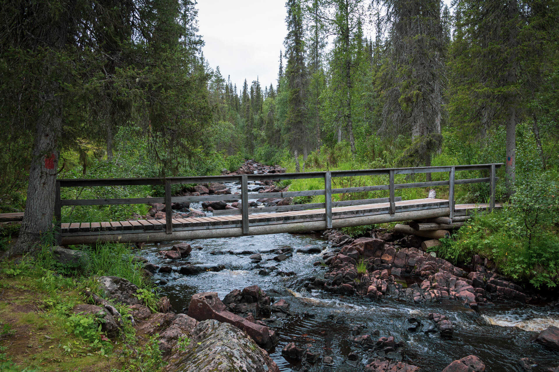 Film Location: Ravine & Wilderness Lake in Salla | Film Lapland