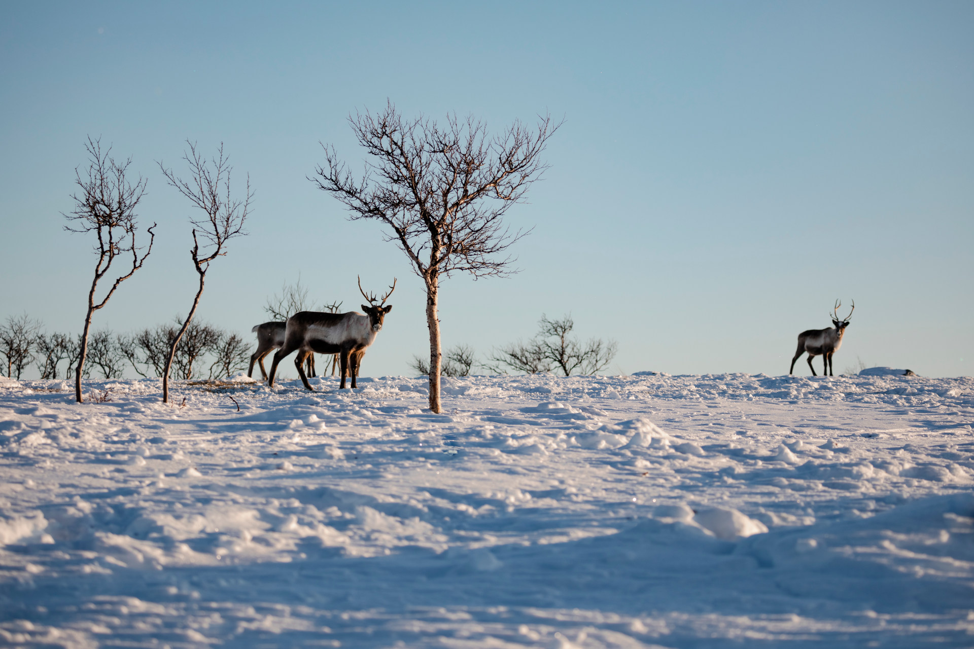 Utsjoki - Slow Down in Northern Lapland | Visit Finnish Lapland