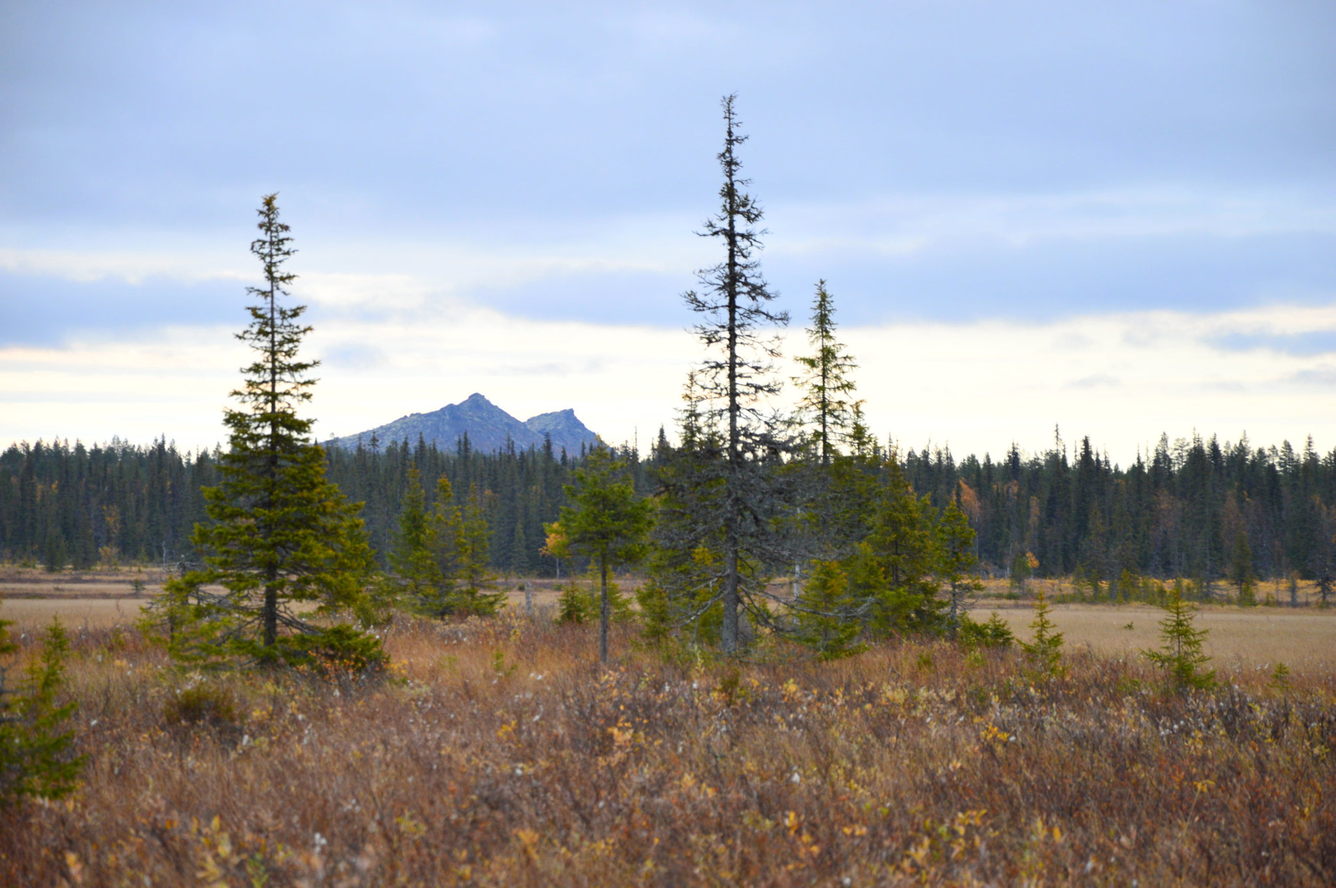 Savukoski & Korvatunturi - Arctic Wilderness | Visit Finnish Lapland